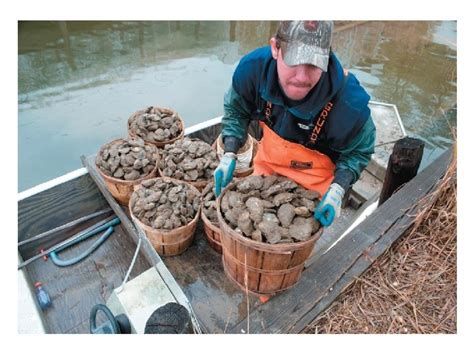 Environmental Systems Lecture 2 This Lecture Will Help