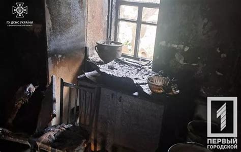 У Криворізькому районі горіли поля та житловий будинок Перший міський