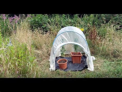 HOW TO BUILD AN EASY POLYTUNNEL YouTube