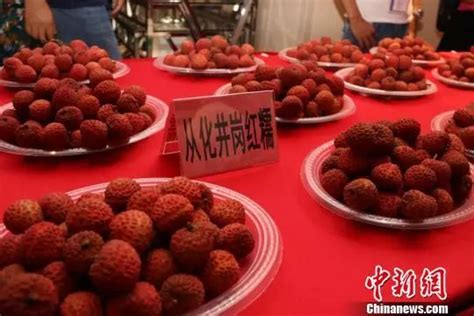 荔枝贵到吃不起水果自由你实现了吗 新闻中心 中国网