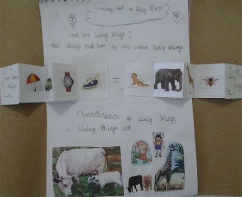 Mom The First Teacher Interactive Science Notebook