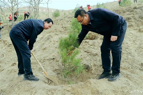 孟晓龙调研武山县植树造林工作图 天水在线