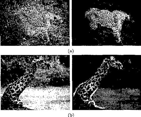Figure 3 From Image Segmentation Using Local Spectral Histograms