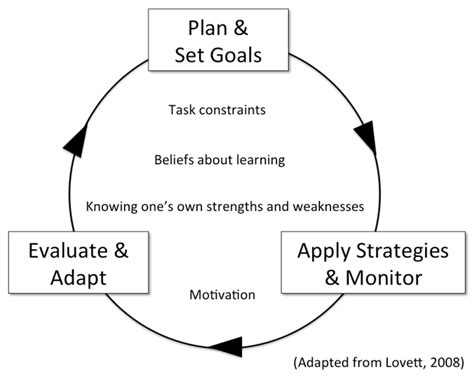 Metacognition Cycle Final