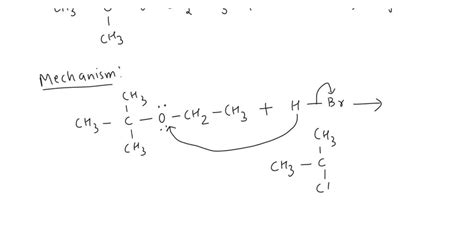 Solved Ch3ch3 1 Hg Oac 2 Thf H2o 2 Nabh4 Naoh Oh Ch3 Ch3 H Ch3 Ch3 Oh I Iv V H Ch3 Z Oh
