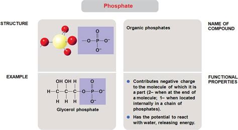 Phosphate Functional Group Example
