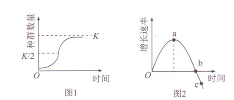 [题目]性状分离比的模拟实验中 准备了如图所示的实验装置 棋子上标记的d D代表基因 实验时从甲中随机抓取一枚棋子 此操作模拟了 A 等位基因的分离 B 非等位基因的自由组合c 同源
