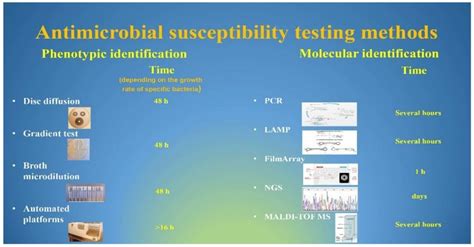 Currently Used Methods For Antimicrobial Susceptibility Testing Download Scientific Diagram
