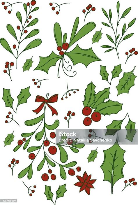 꽃 가문비 나무 가지 잎 및 열매와 식물 크리스마스 세트입니다 크리스마스 트리입니다 손으로 그린 디자인 요소 벡터 일러스트 레이 션입니다 복고풍 빈티지 색상 평면 만화