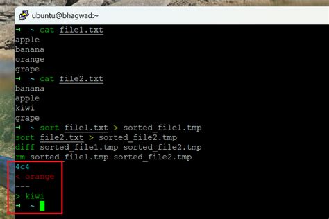 How To Use Process Substitution In Bash