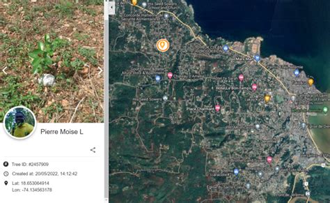Tree Tracking Trees That Feed Foundation