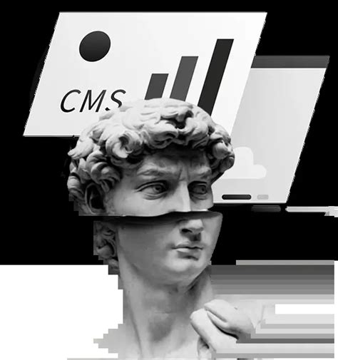 expert cms development services best cms development company