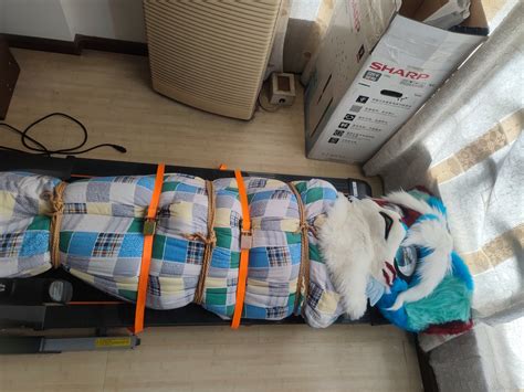 福尔马林鱿鱼酱 on Twitter 没有挠痒痒架子 跑步机挺好的 https t co 2JygidGAPr Twitter