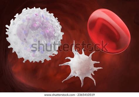 Blood Consists Erythrocytes Leukocytes Platelets Type Stock Illustration Shutterstock