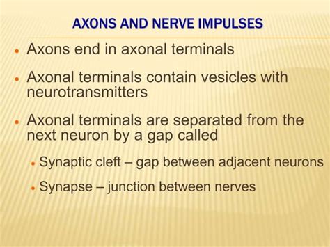 Neuron And Its Structural And Functional Type By Murtaza Syed Pptx