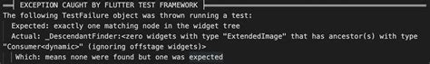 How To Find Consumer In My Particular Test Issue Flutter Flutter Github