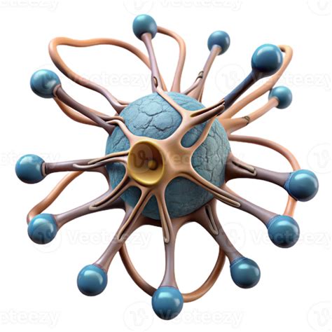 Elegant Classic Neuron Connection Diagram Cutout With Detailed Elegant Classic Neuron Connection Diagram Cutout With Detailed