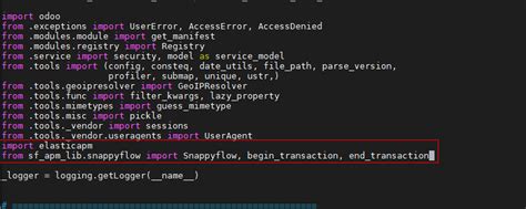 Python On Instance Snappyflow