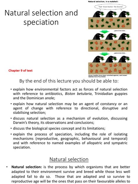 Natural Selection Lecture Pdf Natural Selection Evolution