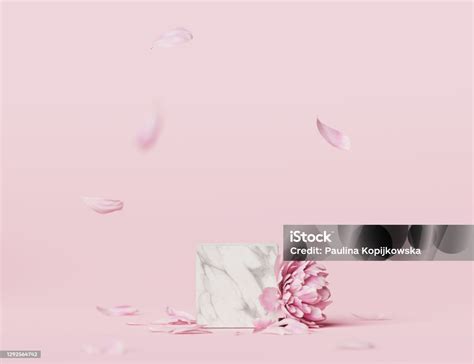 3d 디스플레이 포디움 파스텔 핑크 플라워 배경 모란 꽃 자연 최소한의 대리석 떨어지는 꽃잎돌 받침대 미용 화장품 프리젠 테이션 발렌타인 템플릿 3d 렌더링 꽃 식물에 대한