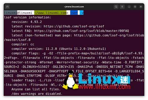 Linux命令教程：如何使用 Lsof 实时监控端口 Linux迷