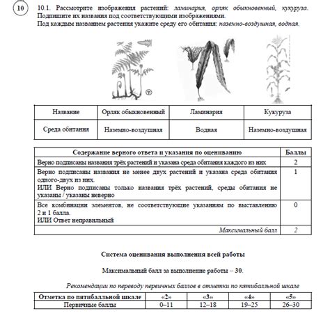 ВПР по биологии 6 класс 2020, задания, ответы, демоверсии, где найти?