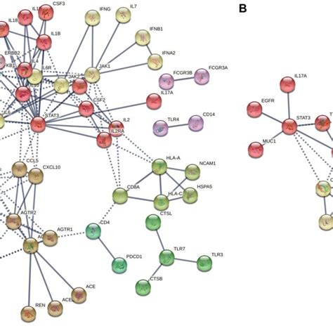 Functional Protein Protein Correlation Networks Of The Covid 19 A And