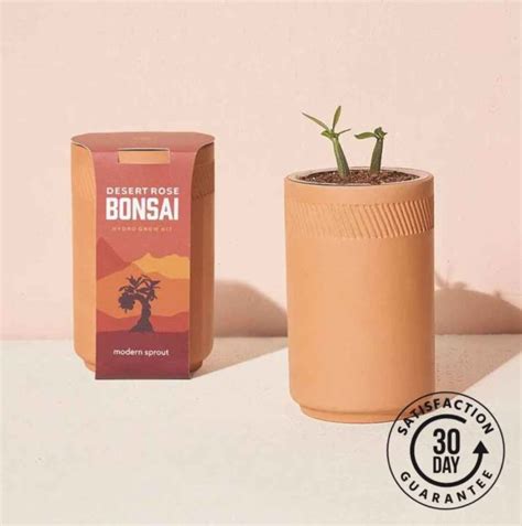 Amazing Gift Ideas For Nature And Tree Lovers The Mood Guide