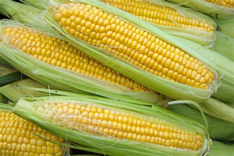 Mandt Engineering Technologies