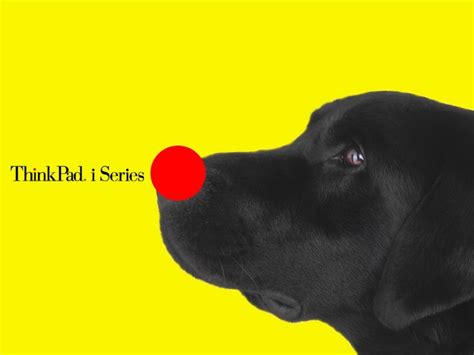 Ibm电脑广告壁纸 Ibm电脑设计壁纸 Desktop Wallpaper Of Ibm Computer Series壁纸 Ibm电脑宣传