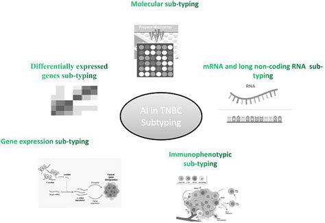 A Framework For Enhanced Gene Selection Performance Gene Connectivity Download Scientific