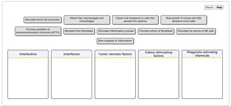 Solved Match The Following Functions And Characteristics