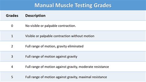 Manual Muscle Testing Grading Mmt Grades Orthofixar 2025
