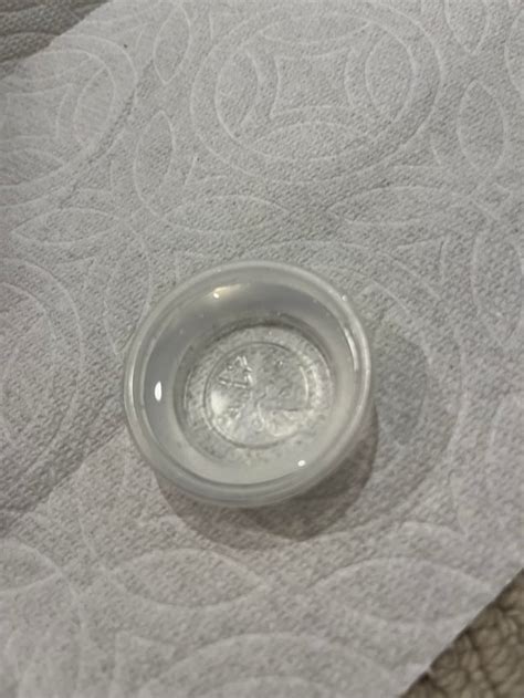 Springtail Eggs R Crestedgecko