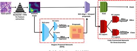Figure 3 From Mitosis Detection From Breast Histopathology Images Using Mask Rcnn Semantic Scholar
