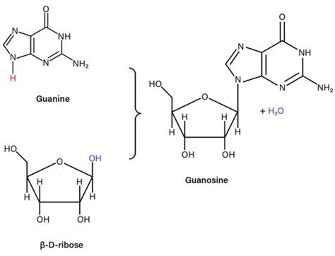 Module Bioc Flashcards Quizlet