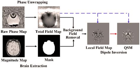 Figure 1 From Reconstruction Of Quantitative Susceptibility Mapping From Total Field Maps With