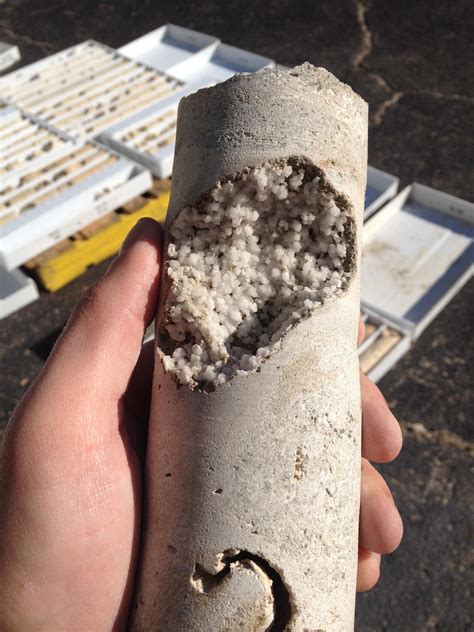 Drill Core Sample Of Florida Limestone R Geologyporn
