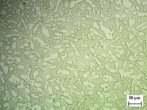 Ferrite Matrix And Austenite Grains In Uns S32760 Download