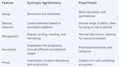 Syntropic Agroforestry A Beginners Guide For Temperate Climates — Learn Practical Skills From