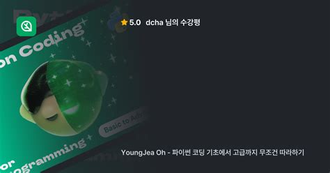 Dcha님의 생생한 수강평 파이썬 코딩 기초에서 고급까지 무조건 따라하기 인프런 수강평