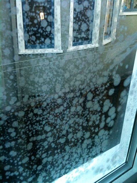 Causes Of Mold On Glass Blog Qingdao Migo Glass Co Ltd