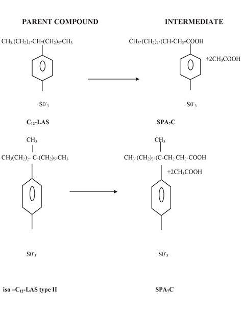 Synthetic Detergents Examples At Harry Christison Blog