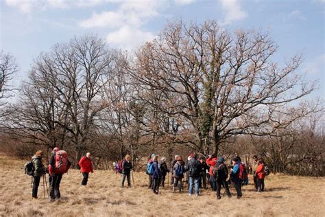 Photo Gallery Escursione Con Elio Polli Società Alpina Delle Giulie
