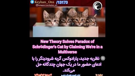 🔘 نظریه جدید، پارادوکس گربه شرودینگر را با ادعای حضور ما در یک جهان چندگانه حل می‌کند Youtube