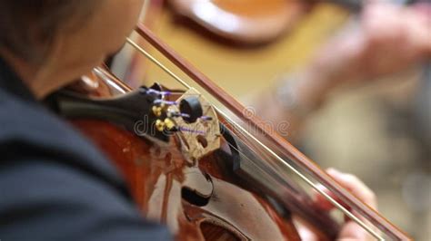 Professional Symphonic String Orchestra Performing On Stage And Playing