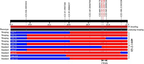 Fine Mapping Results Of Target Genes Controlling Weeping Traits In Download Scientific Diagram