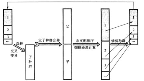 基于遗传算法的多目标优化算法matlab实现matlab多目标优化算法案例 Csdn博客