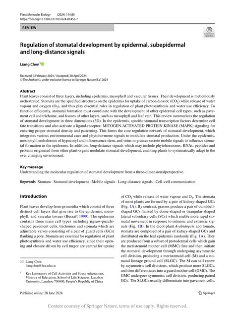 Regulation Of Stomatal Development By Epidermal Subepidermal And Long Distance Signals