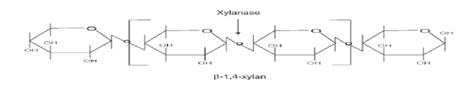 Structure Of Xylan And The Point Of Action Of Hydrolysis By Xylanase 5
